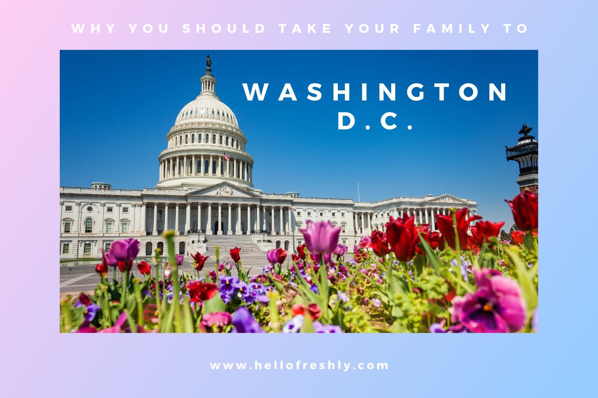 Why You Should Take Your Family to Washington D.C. Why You Should Take Your Family to Washington D.C.